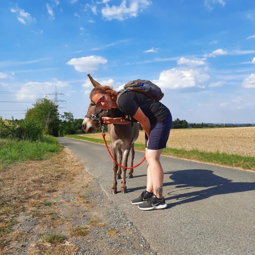 Herzensesel - Startseite
